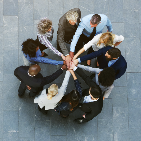 Bludis | Mida Solutions